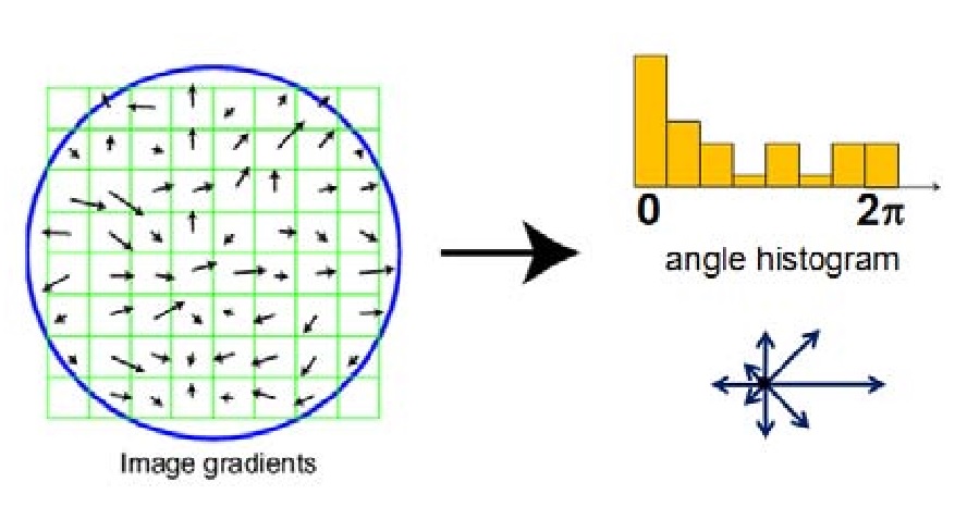 Computer Vision Project 1: Local Feature Matching